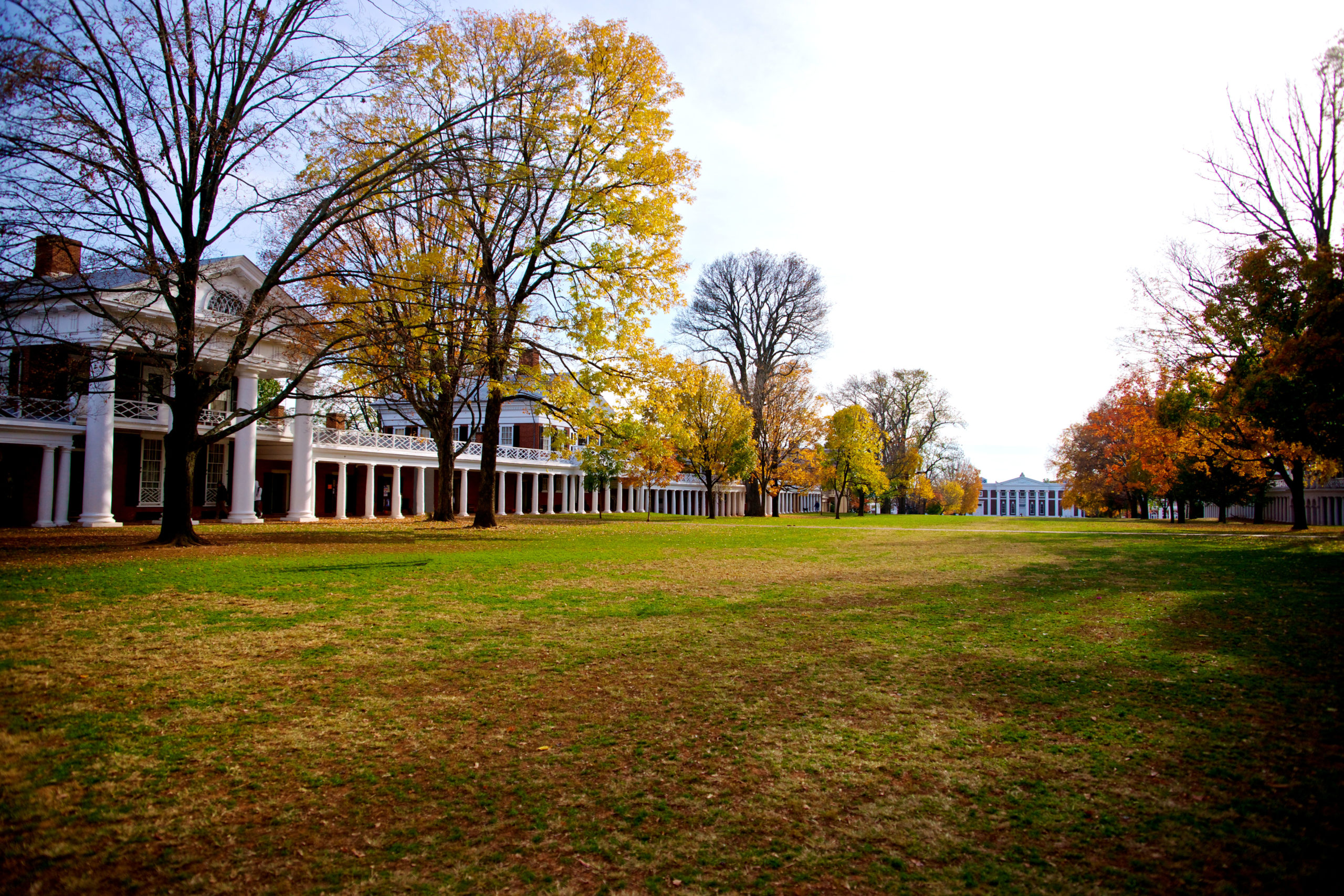 46 East Lawn Room Residents - Kappa Sigma Fraternity